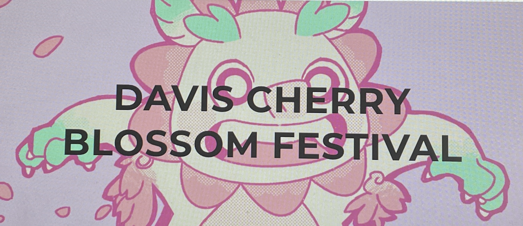Cherry Blossom Fest celebrates hope, art | Davis Media Access